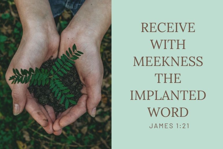 Book of James: Summary, Meaning & Application – Pursuit Bible