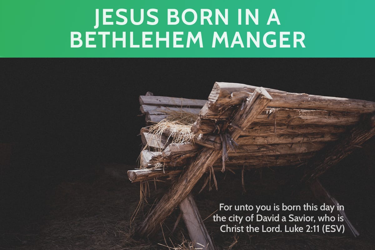 Jesus Born in a Bethlehem Manger: Significance & Meaning – Pursuit Bible